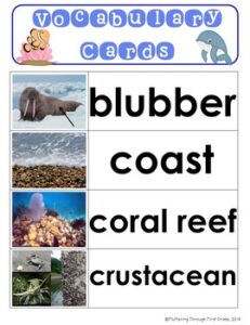 Ocean Habitat for the Common Core Classroom - Fluttering Through the Grades