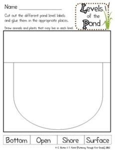 Pond Habitat for the Common Core Classroom - Fluttering Through the Grades